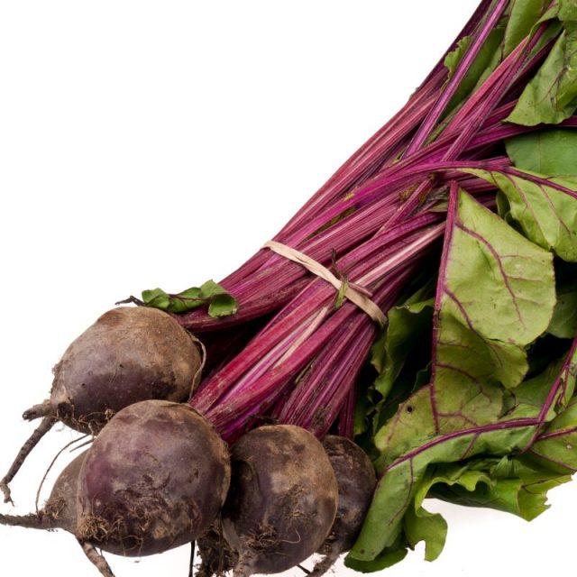 Beets | Star Nursery Garden and Rock Centers