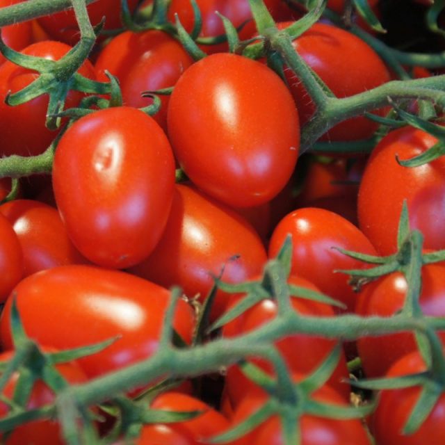 Grape Tomato | Star Nursery Garden and Rock Centers