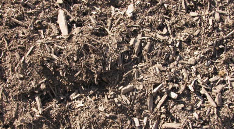 Star Nursery | Shop Decorative Rock, Flagstone, and Bulk Soils | Star ...