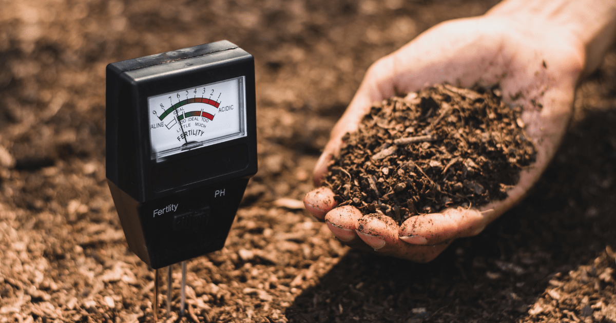 The Ultimate Guide to Improving Desert Soils | Star Nursery | Star ...