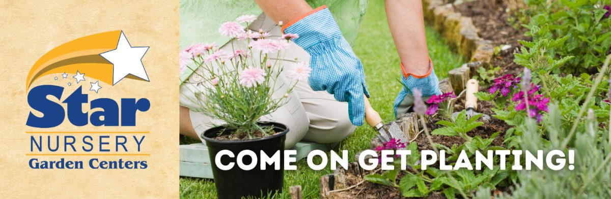 Star Nursery | Local Garden Centers
