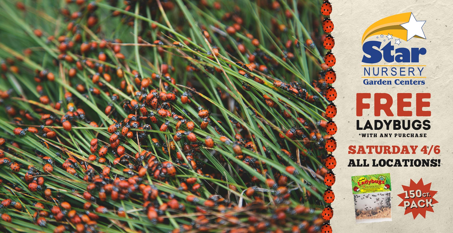 Spring Event Schedule | Star Nursery | Star Nursery Garden and Rock Centers