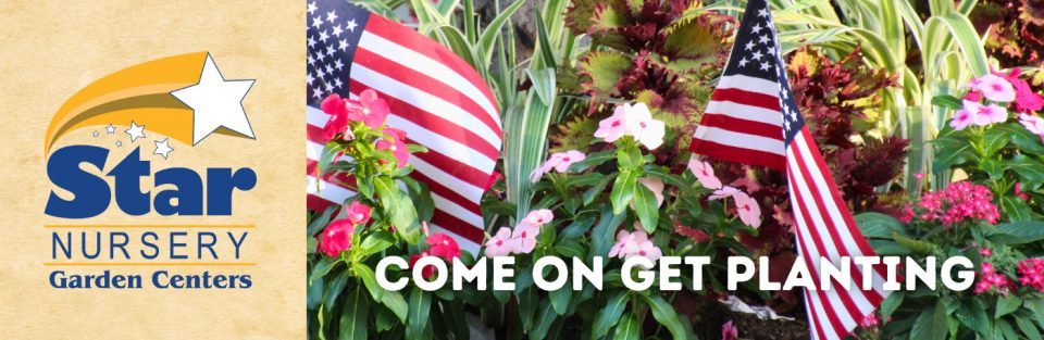 Star Nursery | Local Garden Centers