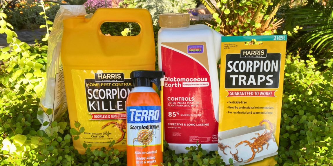 Effective Scorpion Pest Control: Products and Strategies | Star Nursery ...
