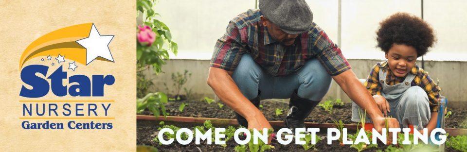 Star Nursery | Local Garden Centers