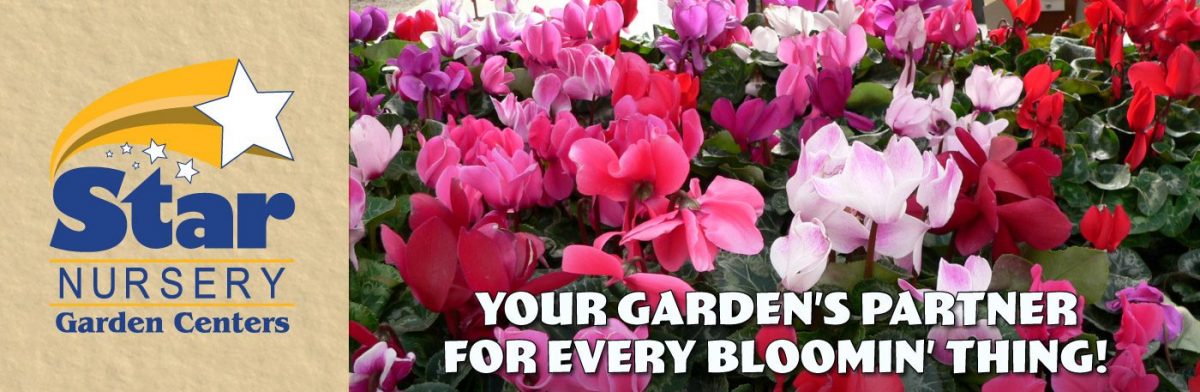 Star Nursery | Local Garden Centers