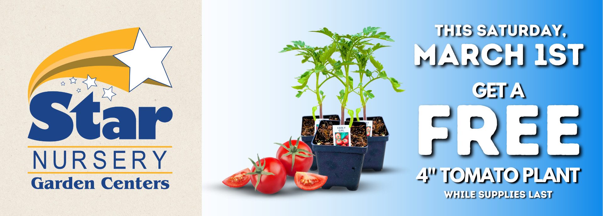 Star Nursery | Blog | Garden Advice for Zone 9 Desert Southwest | Star ...